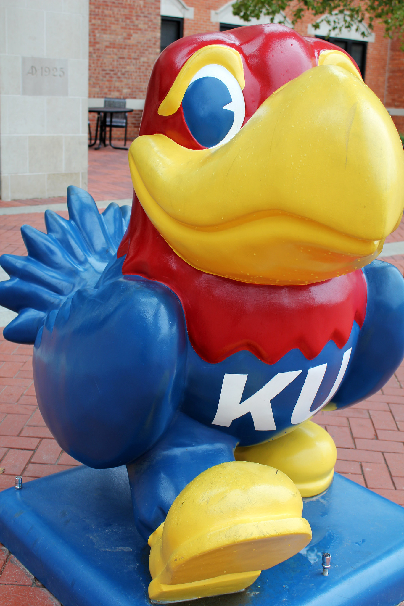 Mattress Mack Has Over $5.5 Million Riding on Kansas to Win the NCAA ...